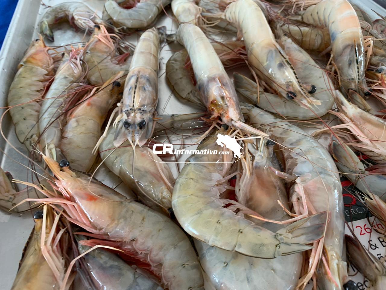 SENASA brinda consejos básicos para disfrutar de productos pesqueros ...