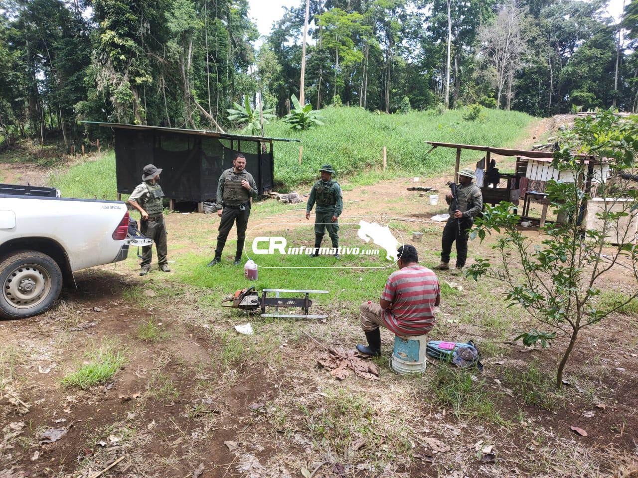 Policía de Fronteras y SINAC frenan presunta tala ilegal de árboles en Talamanca y decomisan ...