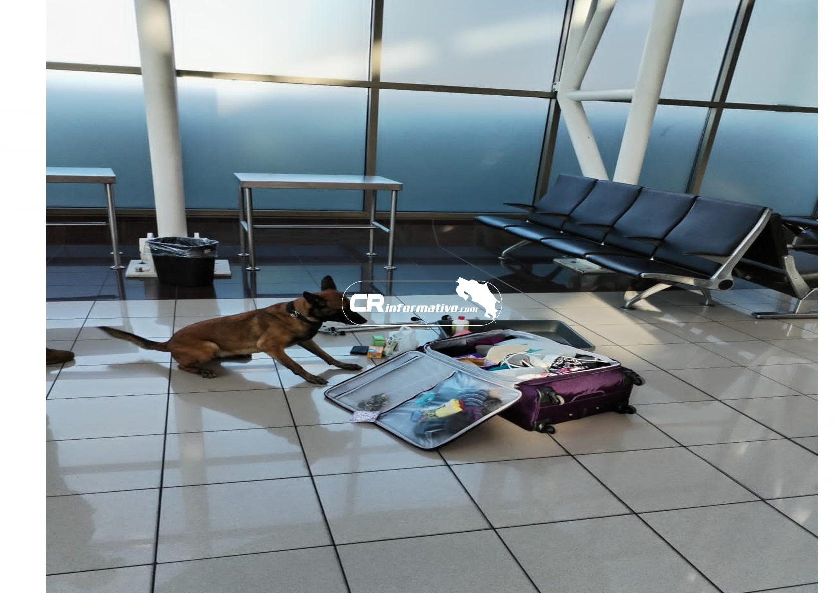 Policía Aeroportuaria detiene pasajera con medio kilo de cocaína en su equipaje - CRinformativo.com